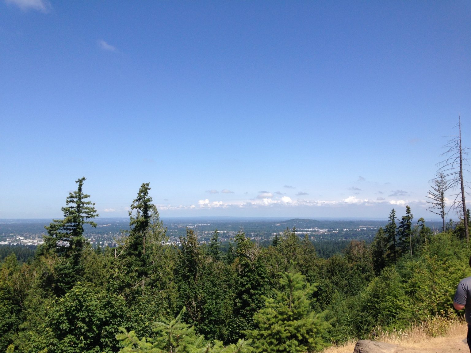 Mountain Biking Galbraith in Bellingham Washington
